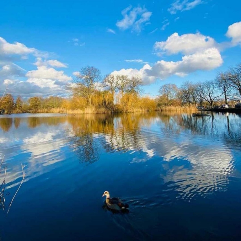 Clapham Area Guide - Square Space Property