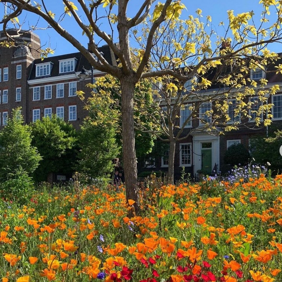 Clapham Area Guide - Square Space Property